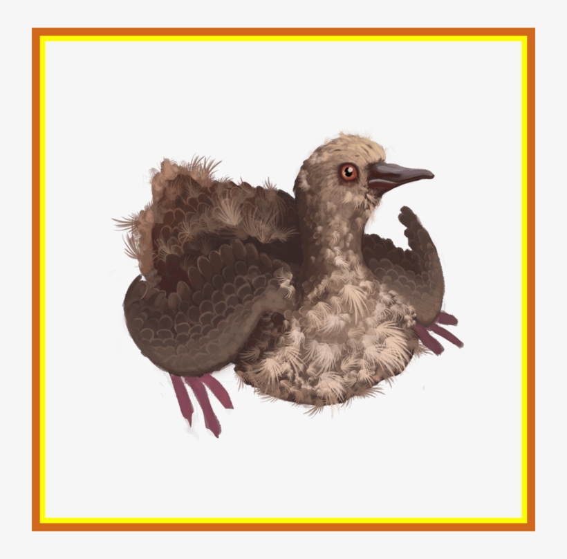 Bird Poop Png - Pigeons And Doves Transparent PNG - 728x728 - Free ...