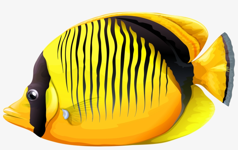 Gold Fish Clipart Realistic Fish - Fish Png Clipart Transparent PNG ...