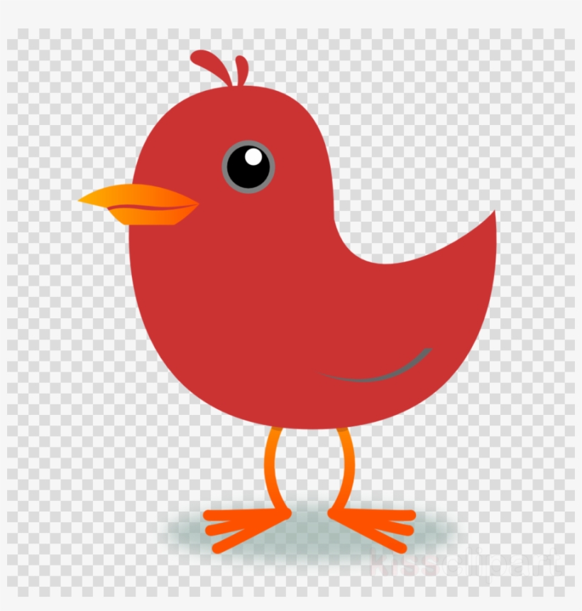 Cardinal Bird Flying Clipart
