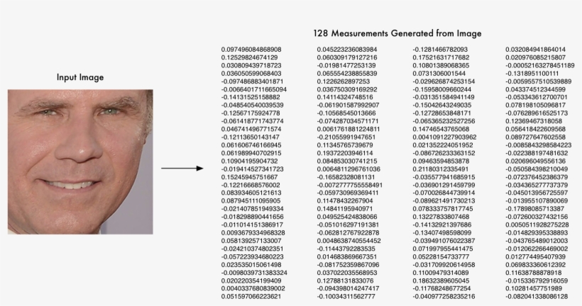 So What Parts Of The Face Are These 128 Numbers Measuring - Face ...