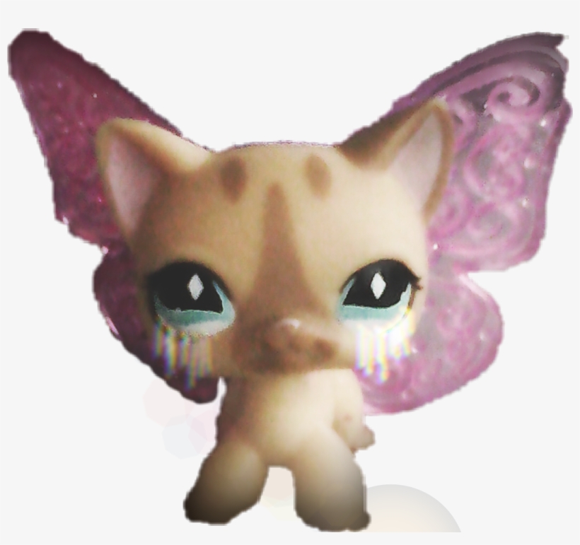 Lps Cat Png Transparent PNG - 1063x948 - Free Download on NicePNG