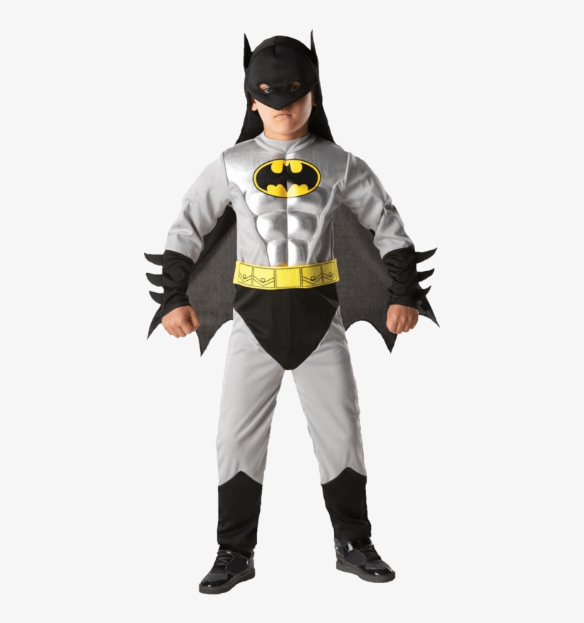 Batman Fancy Dress Child Transparent PNG - 500x793 - Free Download on ...