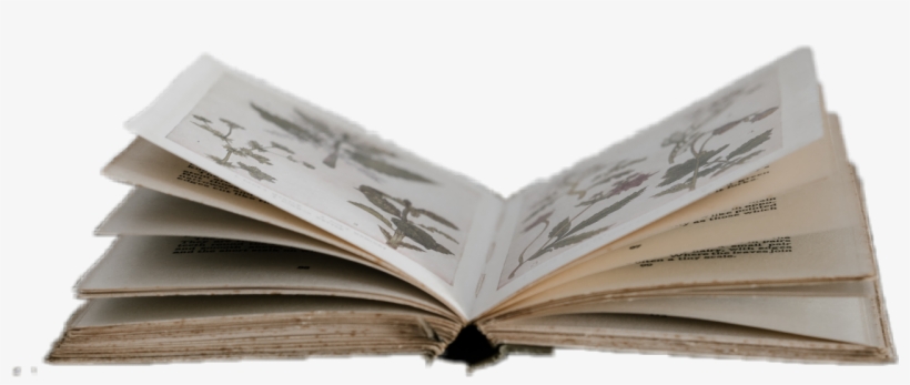 Flying Books Png Transparent PNG - 1280x480 - Free Download on NicePNG