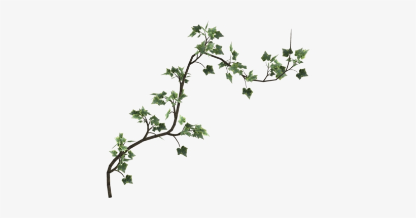 Free Icons Png - Poison Ivy Vine Png Transparent PNG - 400x351 - Free ...