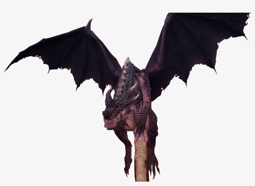 [ Img] - Monster Hunter Fatalis Transparent PNG - 1124x753 - Free ...