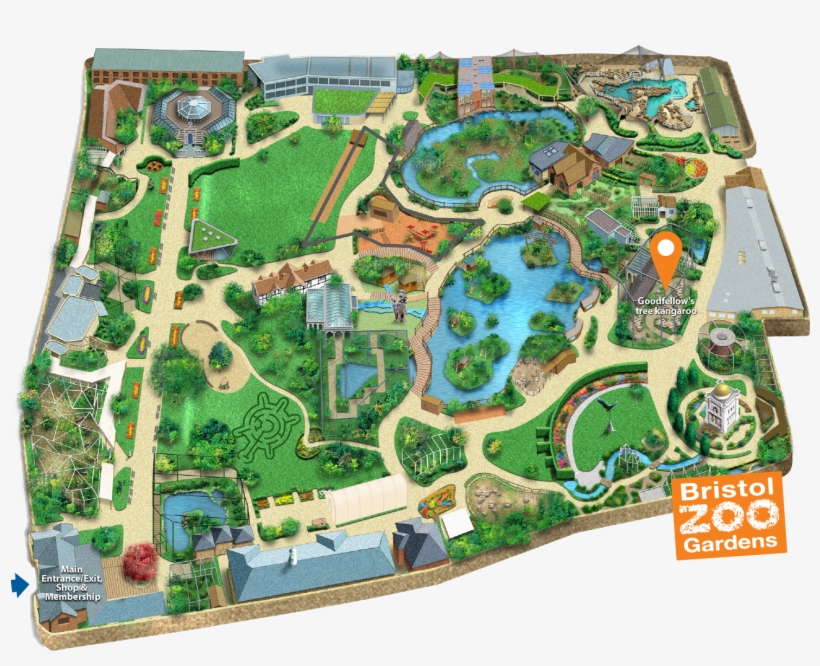 Empty Zoo Map