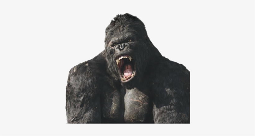 King Kong PNG & Download Transparent King Kong PNG Images for Free ...