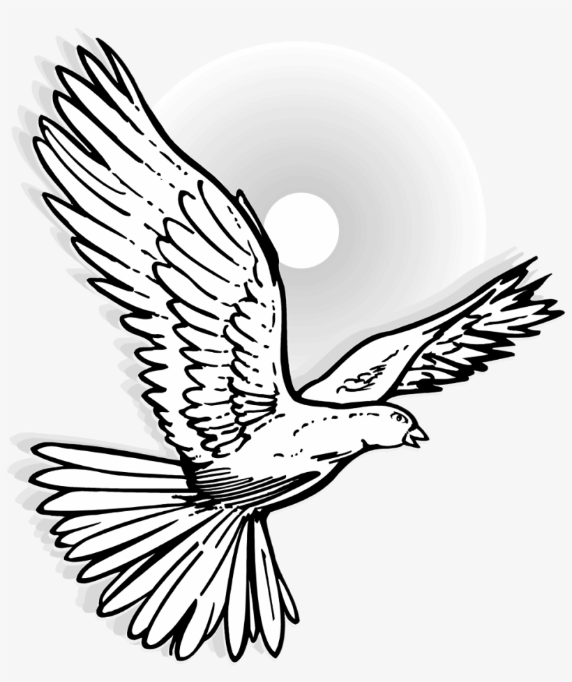 Dove Line Drawing At Getdrawings - Dove Flying On Black And White ...