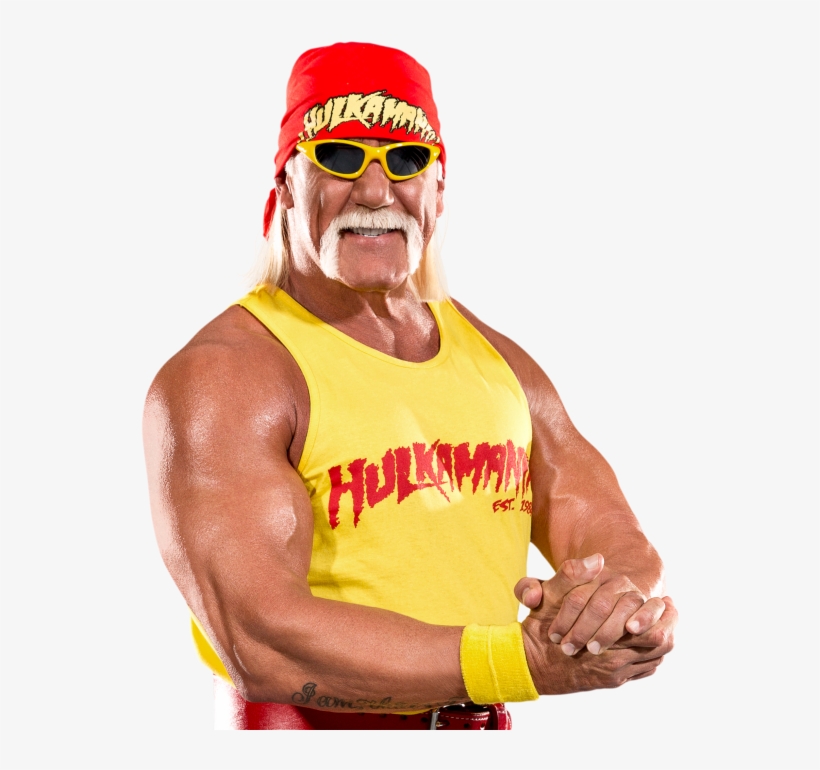 Download Hulk Hogan Png Image - Hulk Hogan Png - HD Transparent PNG ...