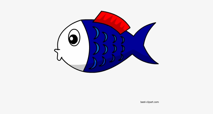 Adorable Red And Blue Fish Png Clipart - Portable Network Graphics ...