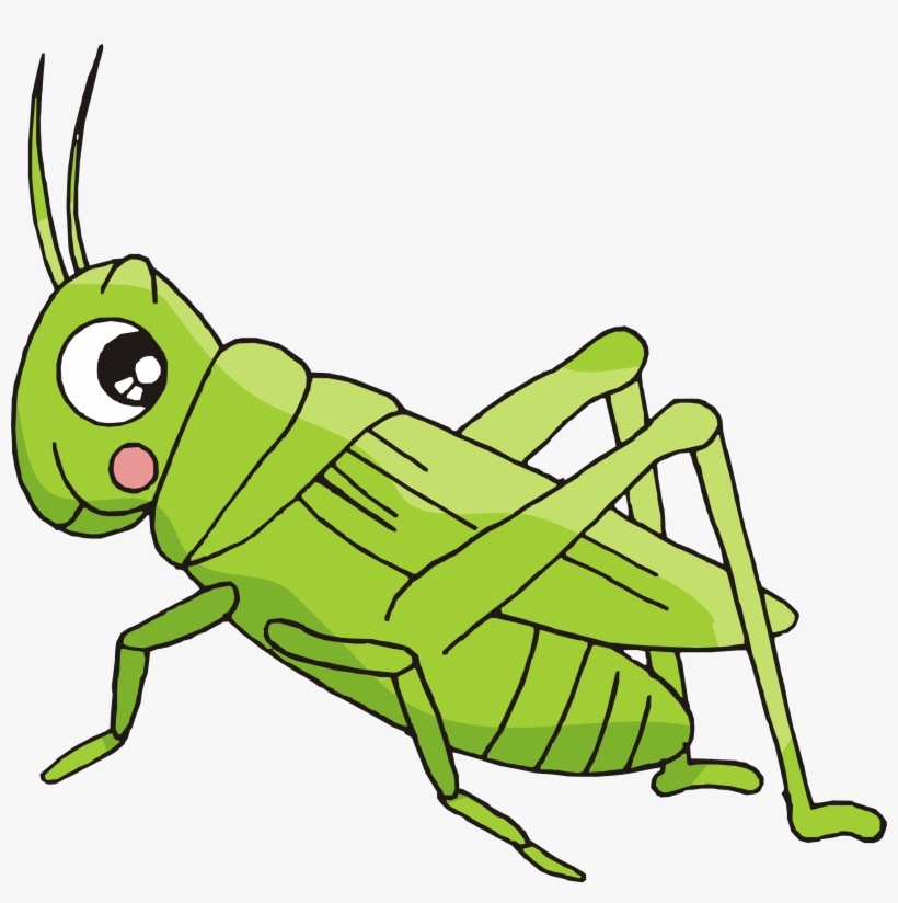 Cartoon Bush Crickets Insect - Dibujos Animados De Un Grillo ...