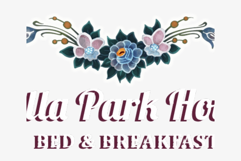 Original Transparent PNG - 640x480 - Free Download on NicePNG