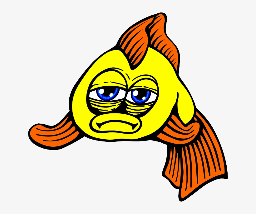Fish, Sad, Goldfish, Yellow, Animal - Sad Fish Clipart Transparent PNG ...