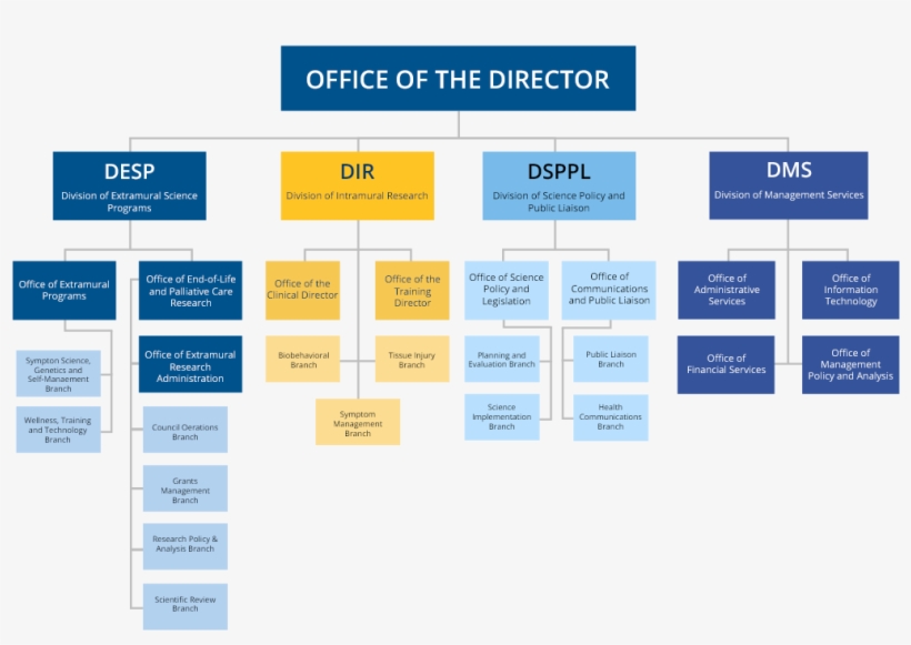 Ninr Organizational Charts4 - National Institute Of Nursing Research ...