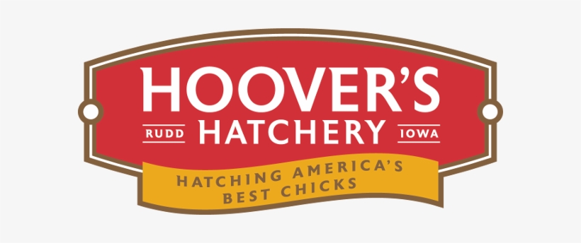 Baby Chick Care Hoover's Hatchery - Hoover Hatchery Logo Transparent ...