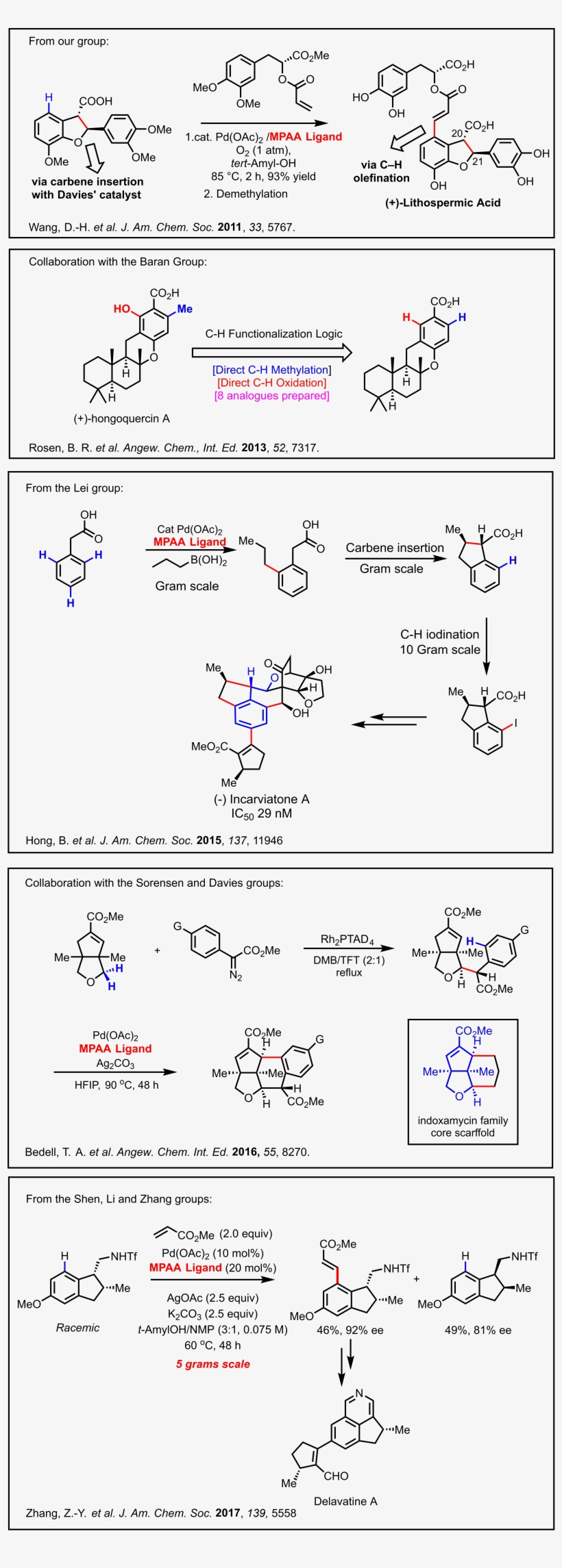 Mpaa Logo Png Transparent PNG - 4933x13475 - Free Download on NicePNG