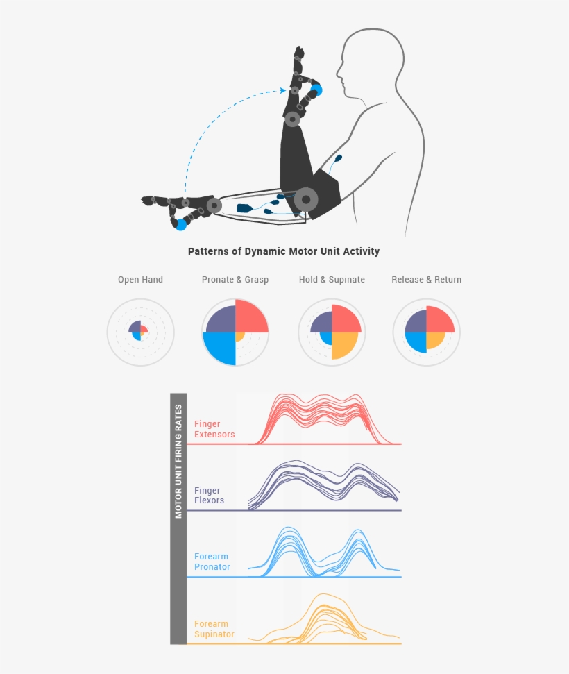 Methods - Graphic Design Transparent PNG - 513x891 - Free Download on ...