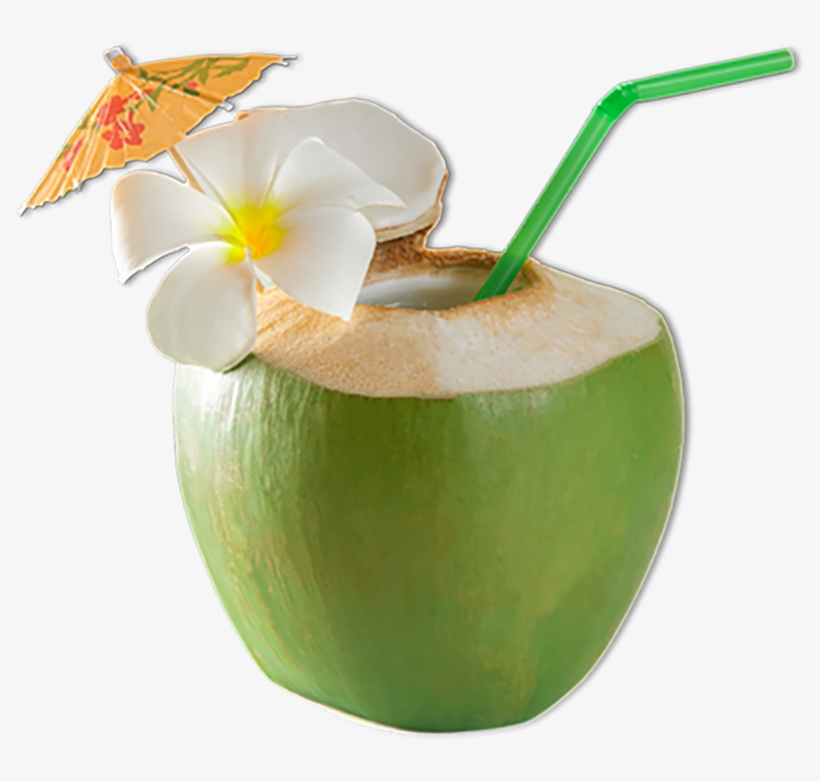Coconut Png - Coconut Transparent PNG - 1000x728 - Free Download on NicePNG
