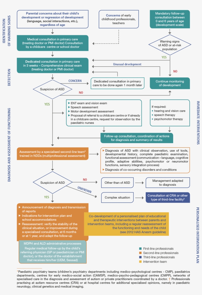 Procedures To Follow For Diagnosis Of Asd - Autistic Spectrum Disorders ...