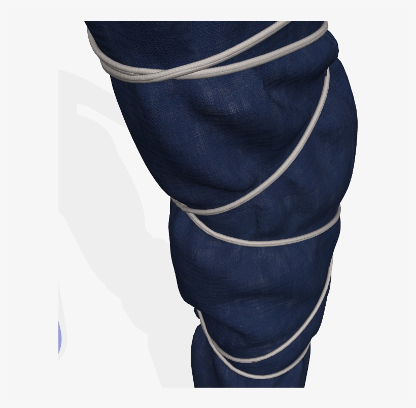 Marvelous Designer String Transparent PNG - 604x722 - Free Download on ...