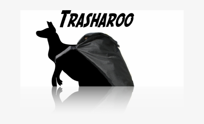 Trasharoo Logo - Trasharoo Transparent PNG - 656x427 - Free Download on ...