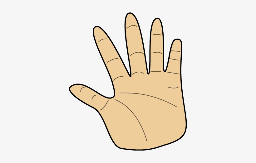Back Of Hand Clipart - Hand Clipart Transparent Transparent PNG ...
