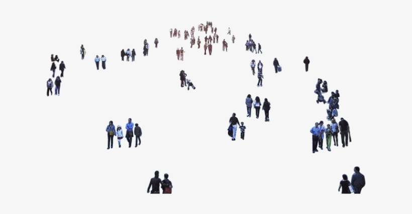 Aerial Shot Of People