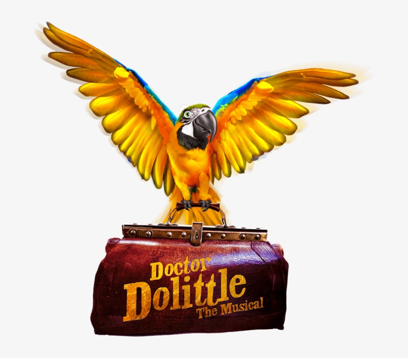 Christopher Renshaw - Cast Of Doctor Dolittle Musical Transparent PNG ...