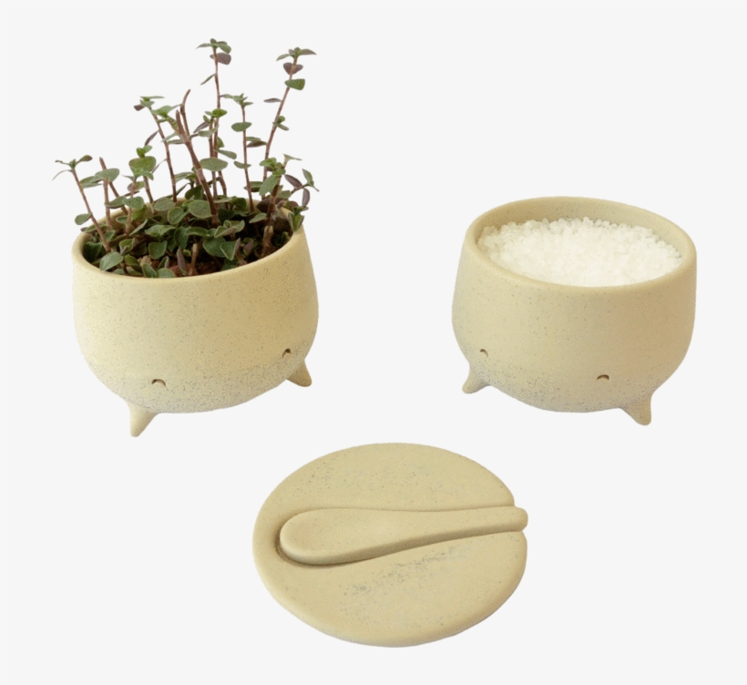 Moli Maceta/molcajete De Cerámica - Ceramic Transparent PNG - 1024x1024 ...