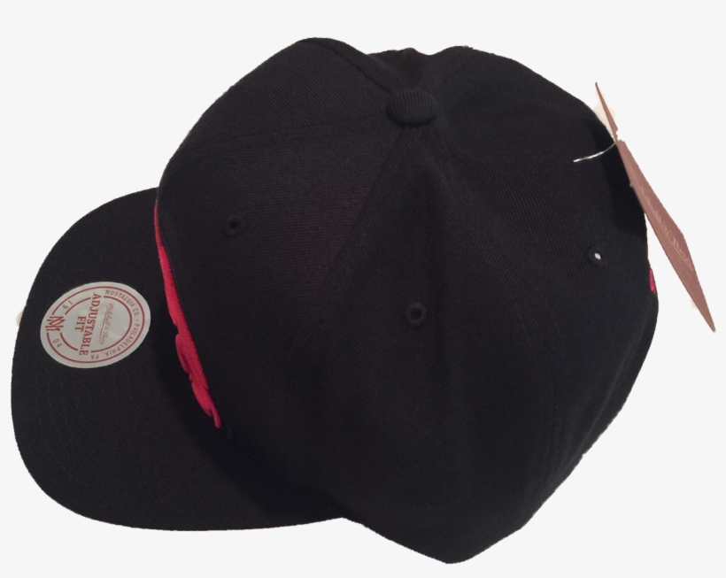 Toronto Raptors Logo Nba Basketball Mitchell & Ness - Baseball Cap ...