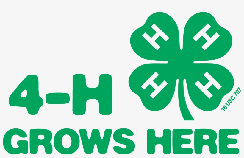 4-h Grows Here, Color, Png - Public Speaking 4 H Transparent PNG ...