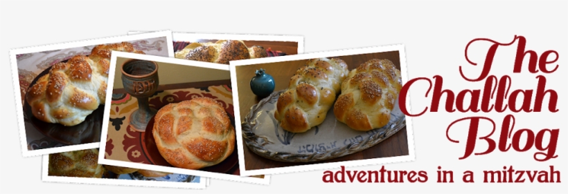 Blog Transparent PNG - 980x286 - Free Download on NicePNG