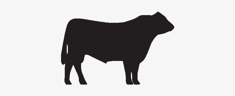 Cow Clipart Hereford Cow - Angus Bull Clip Art Transparent PNG - 400x400 - Free Download on NicePNG