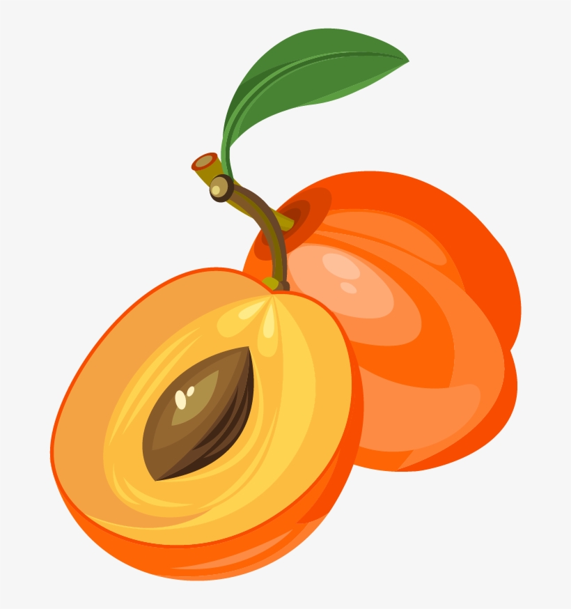 Peach Clipart Apricot - Apricot Clipart Transparent PNG - 678x794 ...