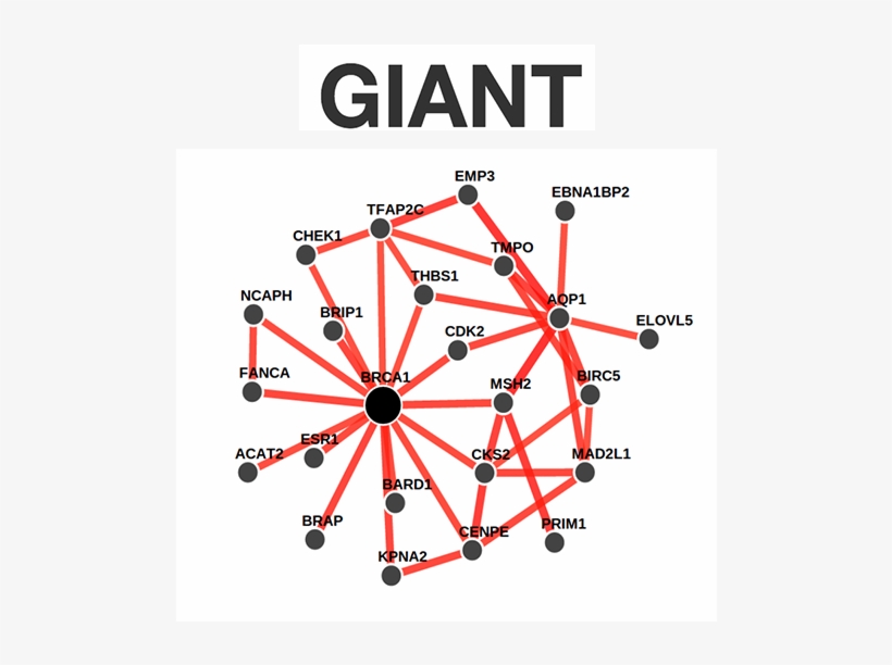 Project Image For Giant - Project Transparent PNG - 902x683 - Free ...