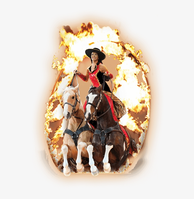 Dolly Parton's Stampede Roman Rider - Illustration Transparent PNG ...
