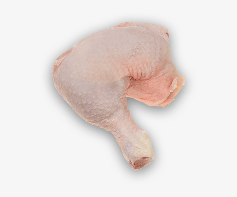 Whole Chicken Leg - Full Chicken Leg Png Transparent PNG - 650x650 ...