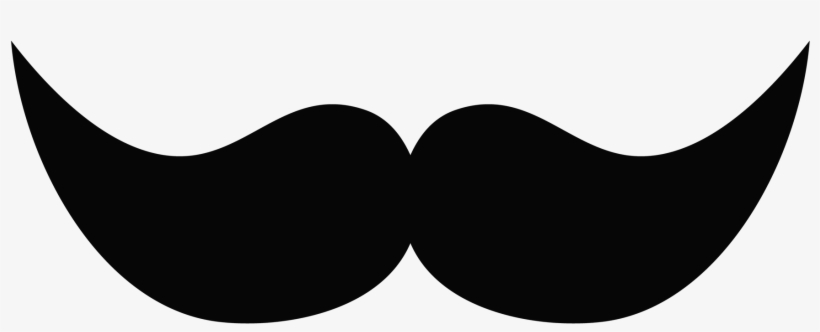 Mustache Png Image - Mustache .png Transparent PNG - 500x247 - Free ...