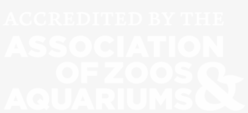 Aza Logo Transparent PNG - 900x368 - Free Download on NicePNG