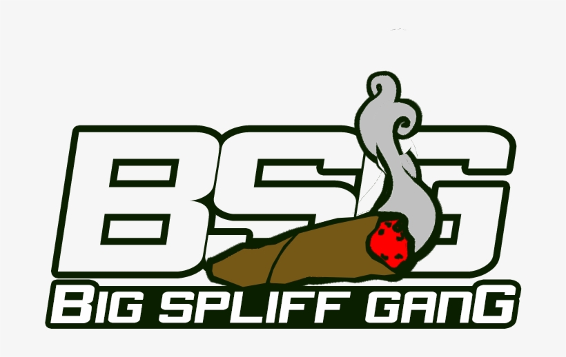 Bsg Lifesyle Transparent PNG - 800x600 - Free Download on NicePNG