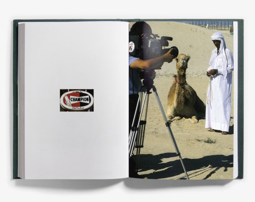 81 - Portable Network Graphics Transparent PNG - 1200x900 - Free ...