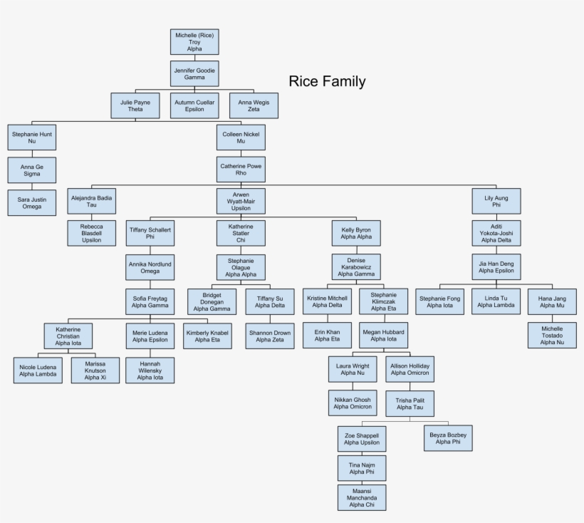 Rice Family Tree - Diagram Transparent PNG - 1930x1636 - Free Download ...