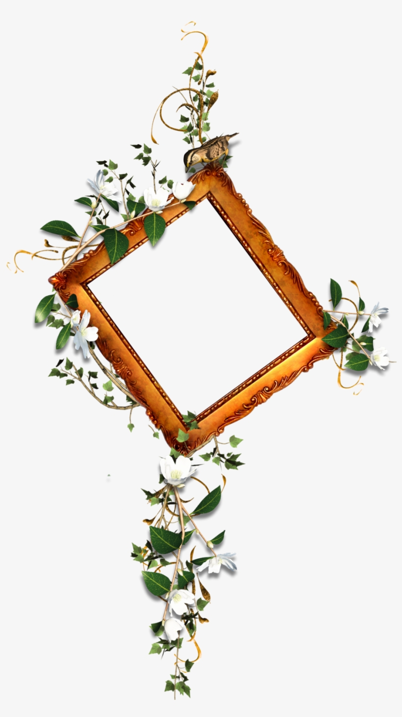 Free Download Picture Frame Clipart Picture Frames - High Resolution ...