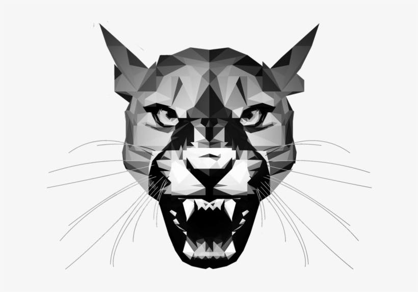 Puma Black Background Transparent PNG - 653x516 - Free Download on NicePNG