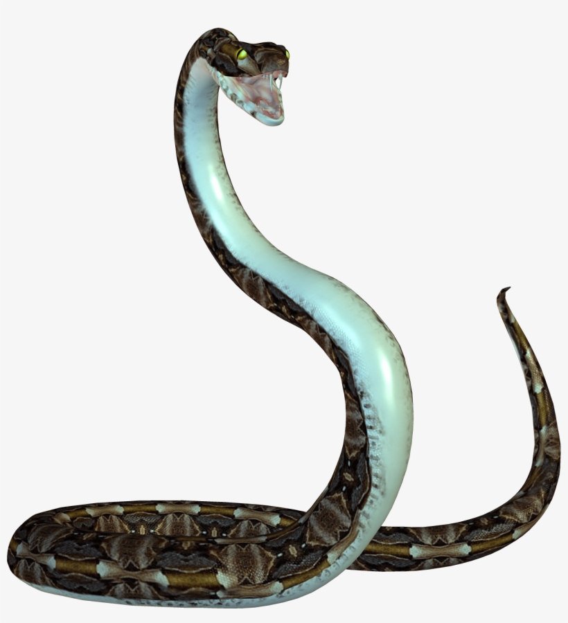 Free Png Animated Snake Png Images Transparent - Snake Png Transparent ...