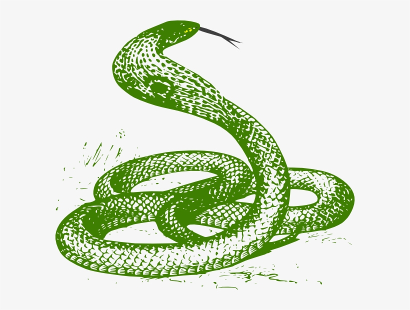 How To Set Use Green Snake Clipart Transparent PNG - 600x540 - Free ...