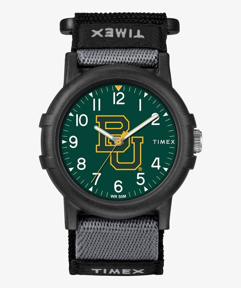 Recruit Baylor Bears Transparent PNG - 750x900 - Free Download on NicePNG