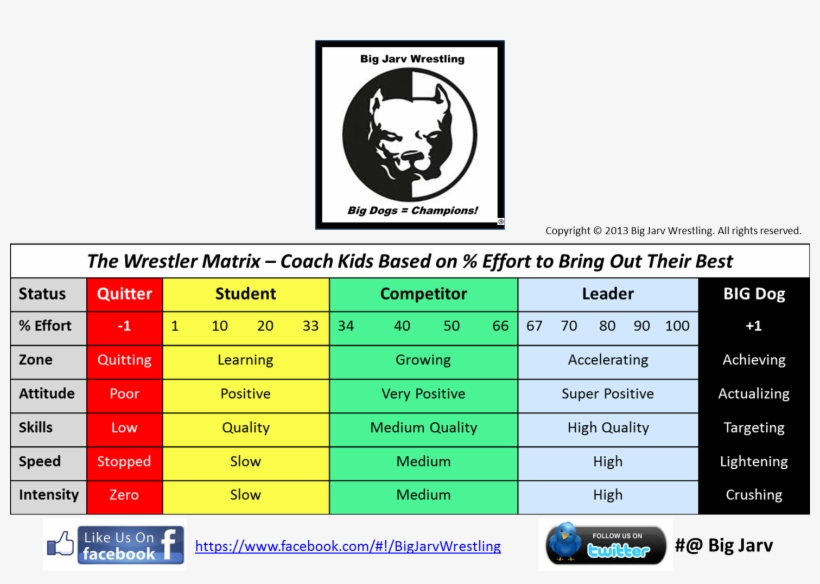 The Wrestler Matrix Transparent PNG - 1474x979 - Free Download on NicePNG