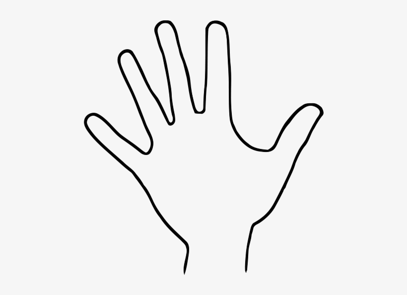 Png Image - Clip Art Hands Transparent PNG - 800x591 - Free Download on ...