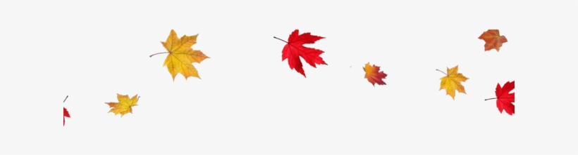 Download Autumn Png Transparent Images - Fall Leaves Transparent ...